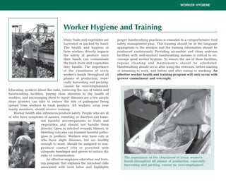 05 worker-hygiene | PDF