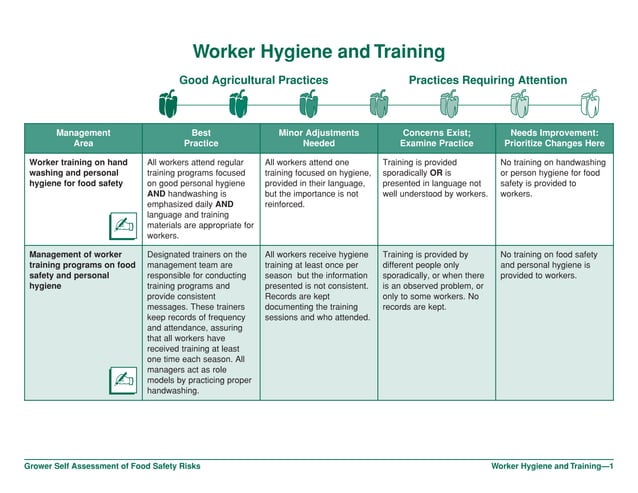 05 worker-hygiene | PPT