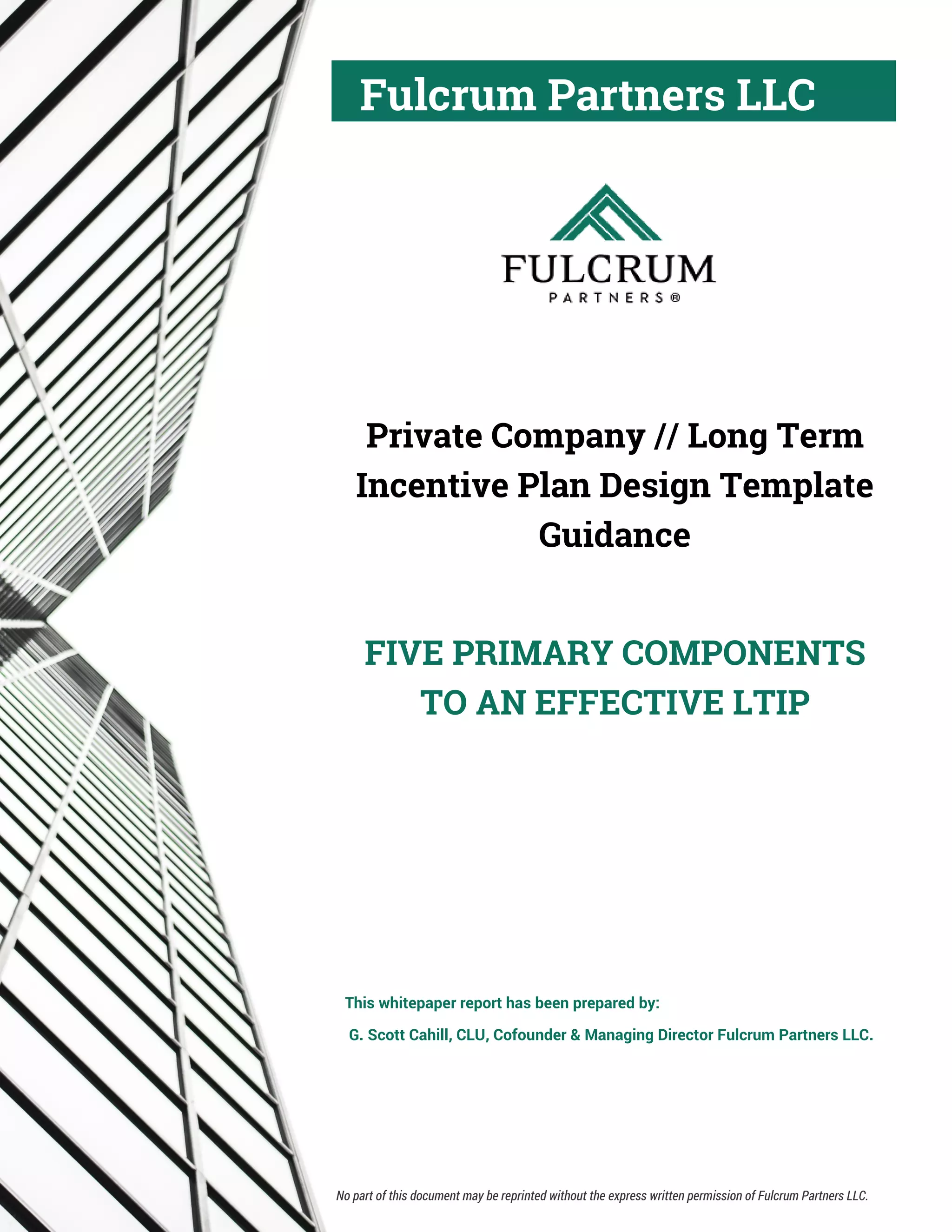 Private Company // Long Term Incentive Plan Design Template Guidance | PDF