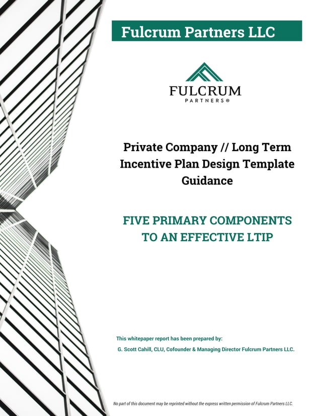 Private Company // Long Term Incentive Plan Design Template Guidance | PDF