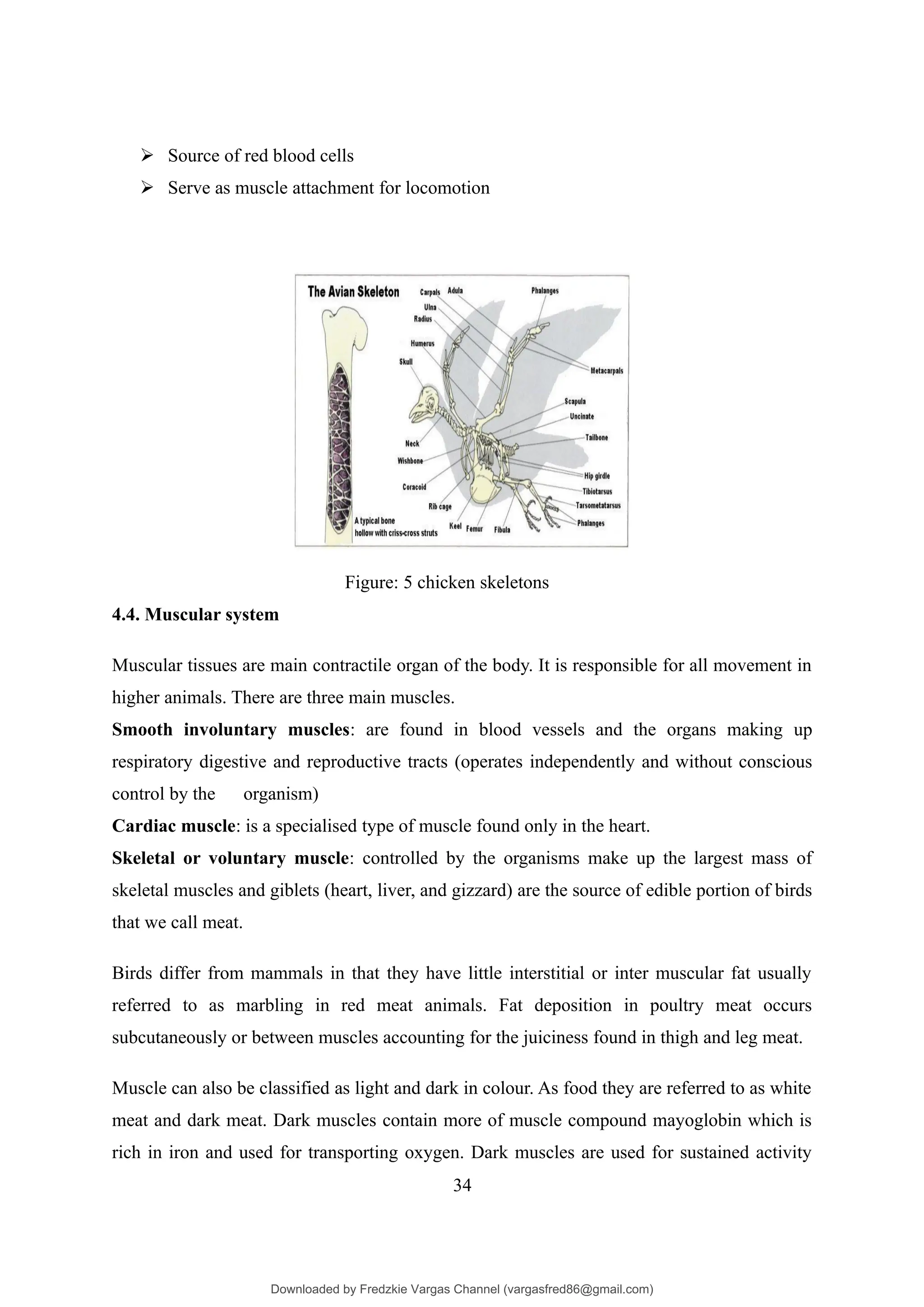a goodosjv jkcdsdsjvfdbjlfblkbn full-handout-of-poultry.pdf