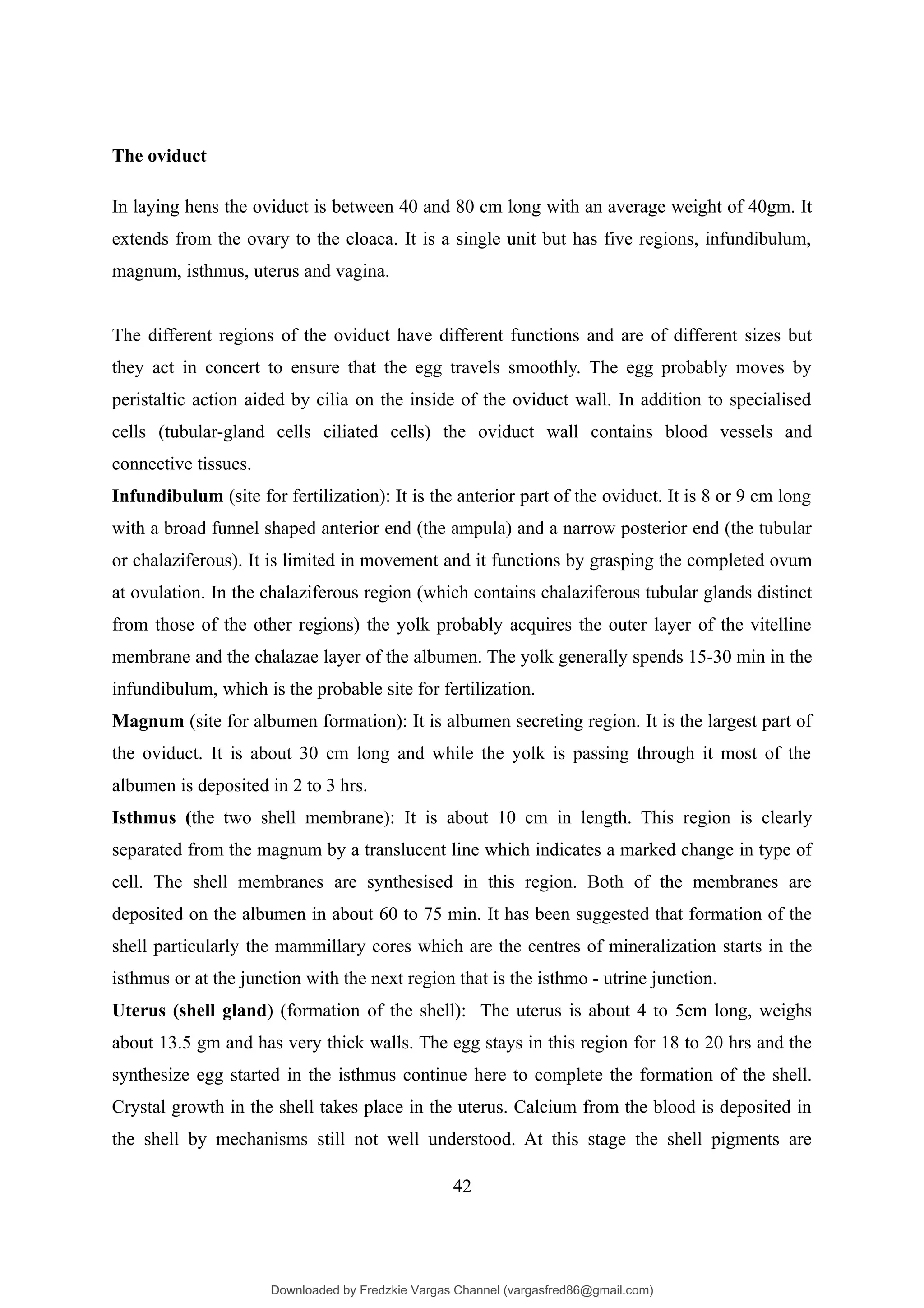 a goodosjv jkcdsdsjvfdbjlfblkbn full-handout-of-poultry.pdf