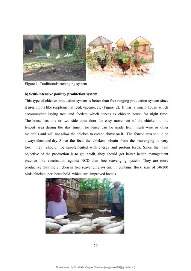 a goodosjv jkcdsdsjvfdbjlfblkbn full-handout-of-poultry.pdf