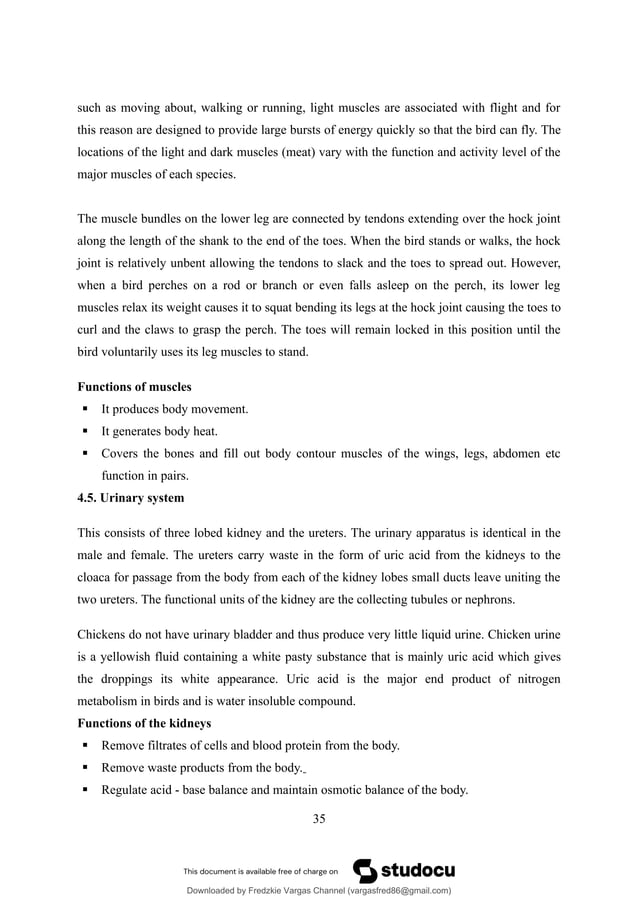 a goodosjv jkcdsdsjvfdbjlfblkbn full-handout-of-poultry.pdf