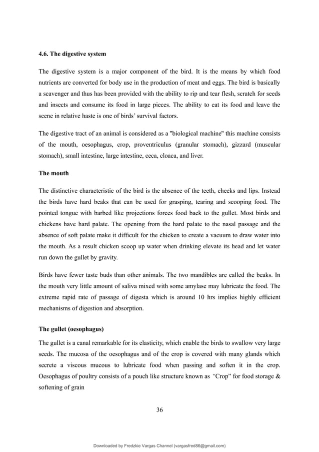 a goodosjv jkcdsdsjvfdbjlfblkbn full-handout-of-poultry.pdf