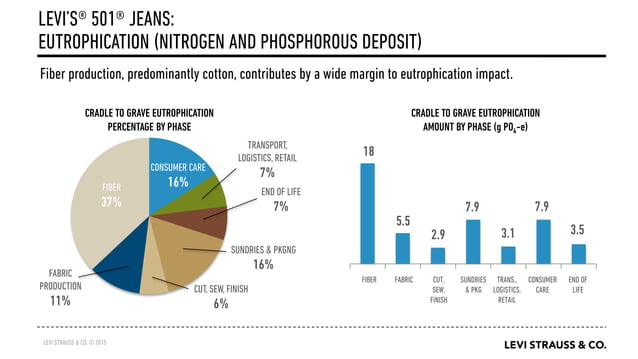 The Life Cycle | Understanding the environmental impact of a pair of ...