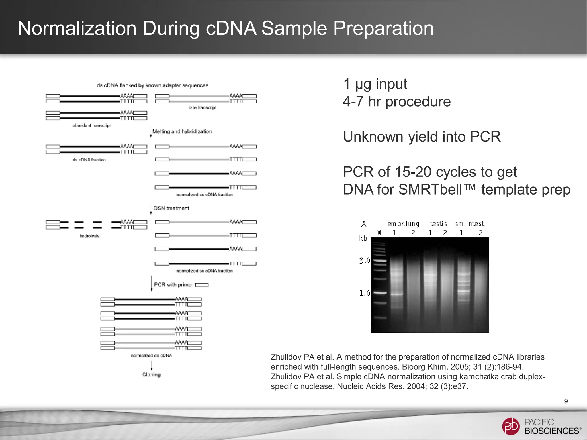 Full-length cDNA Sequencing.pdf