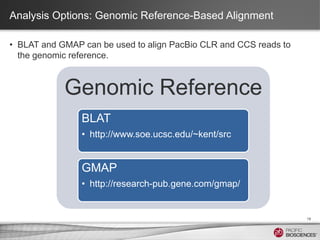 Full-length cDNA Sequencing.pdf
