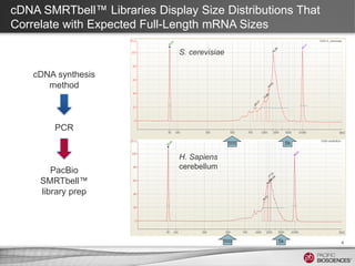 Full-length cDNA Sequencing.pdf
