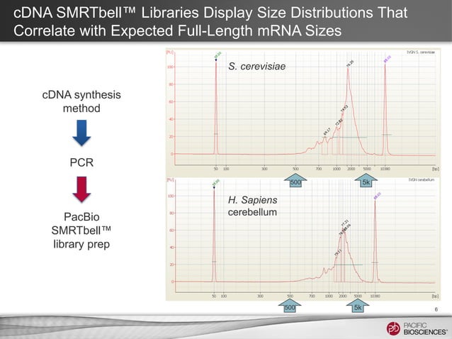 Full-length cDNA Sequencing.pdf
