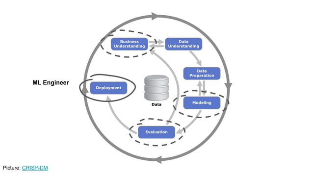 Full-stack Data Scientist | PDF | Cloud Computing | Internet