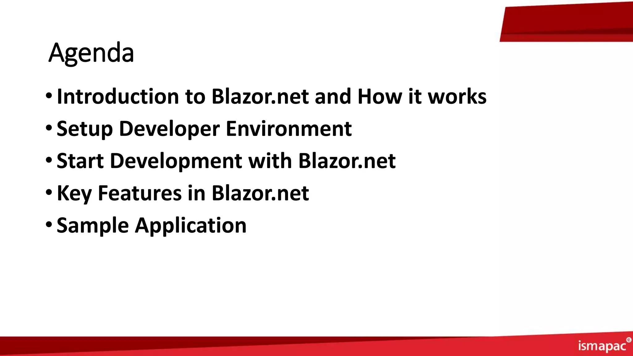 Full stack web development with c# and web assembly - Blazor.Net