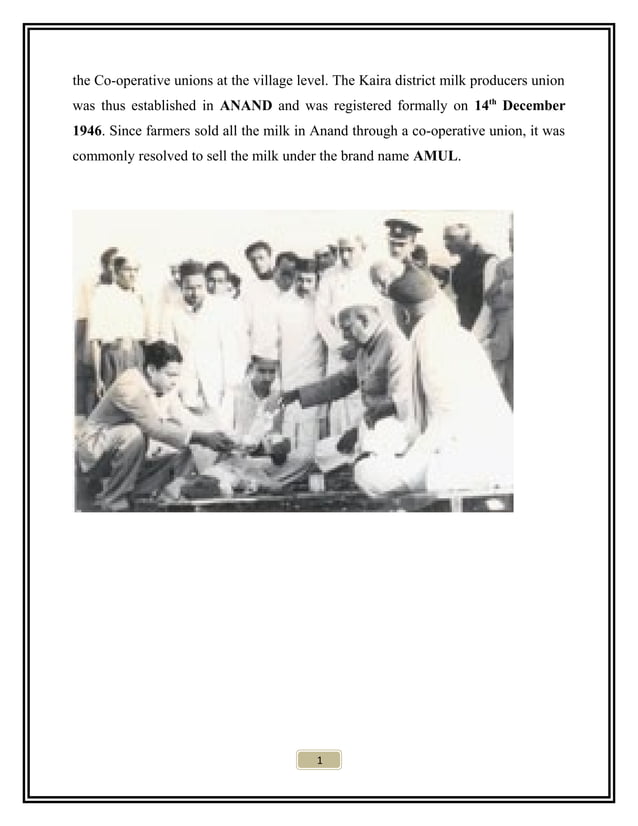 Project Report on Amul | DOC