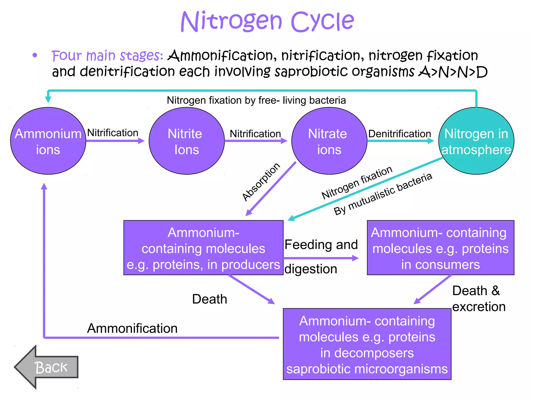 Full biology unit 4 powerpoint | PPT