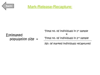 Full biology unit 4 powerpoint | PPT