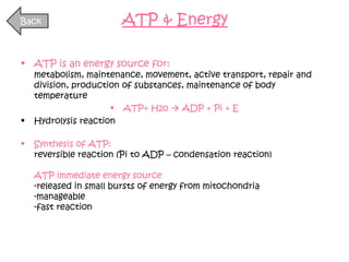 Full biology unit 4 powerpoint | PPT