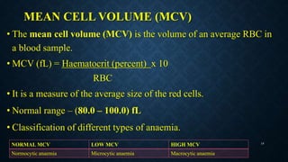 Full Blood Count (FBC) Interpretation.pptx
