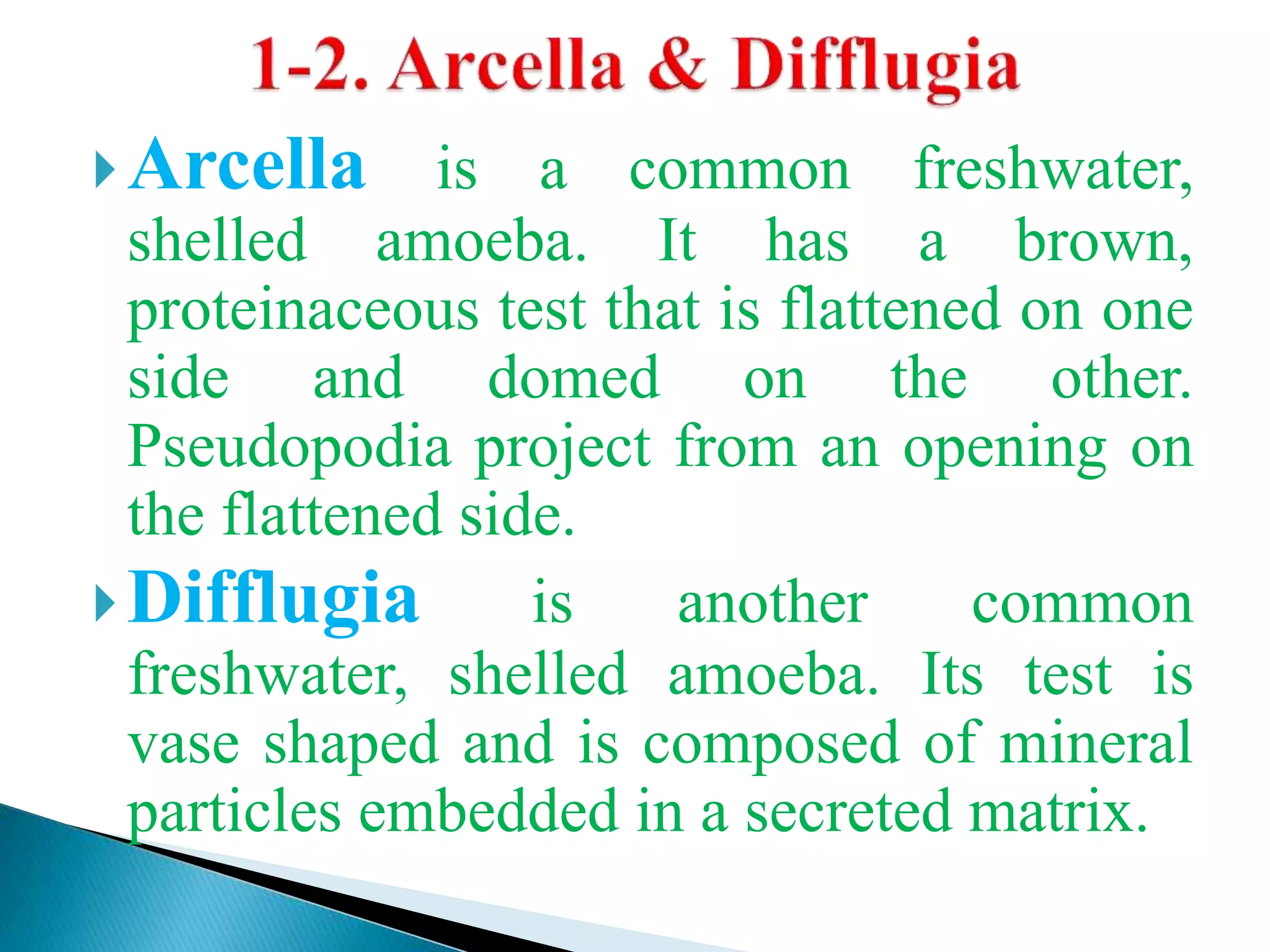 Full chapter 8 miller and harley, bsc | PPTX