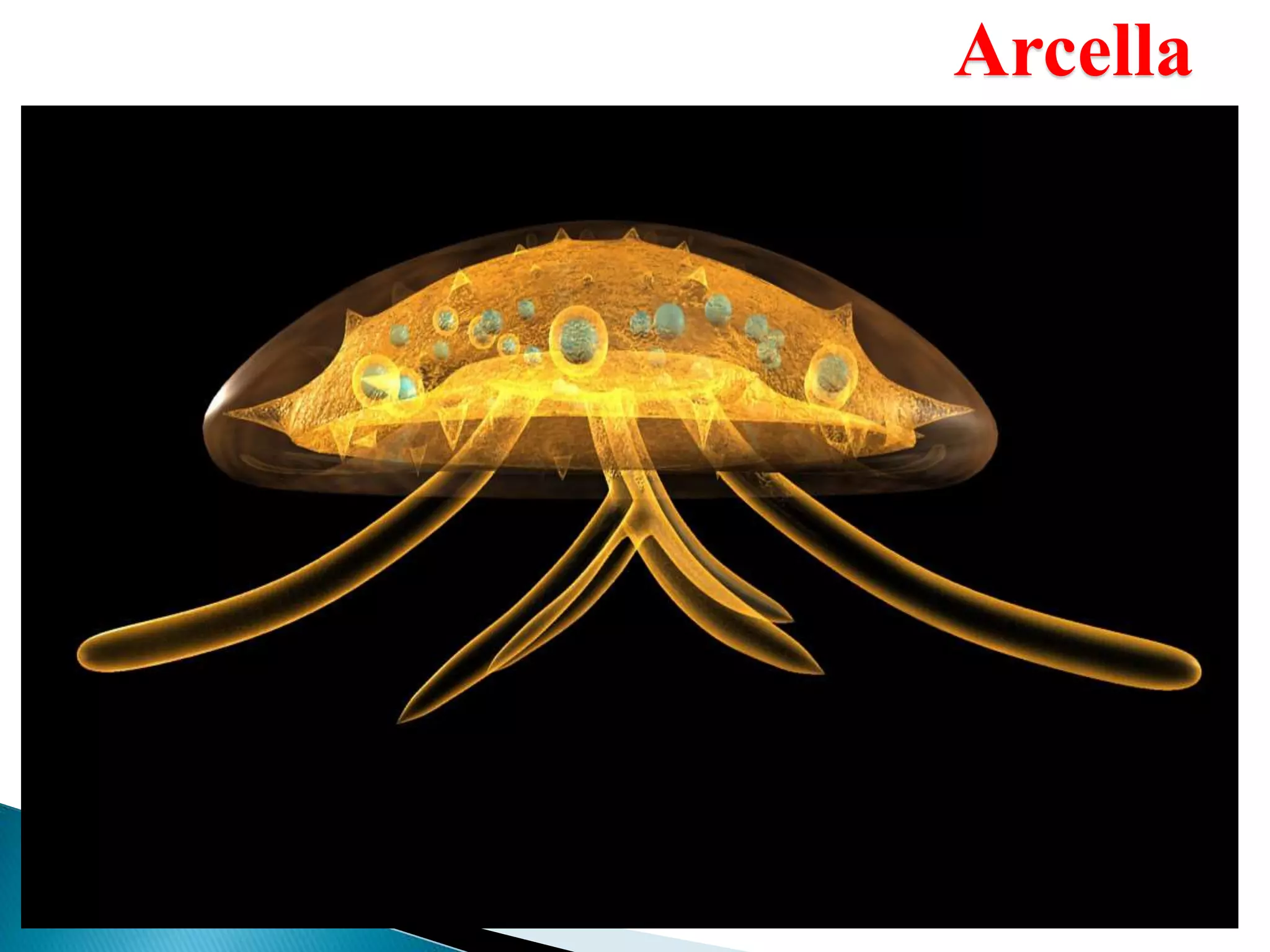 Full chapter 8 miller and harley, bsc | PPTX