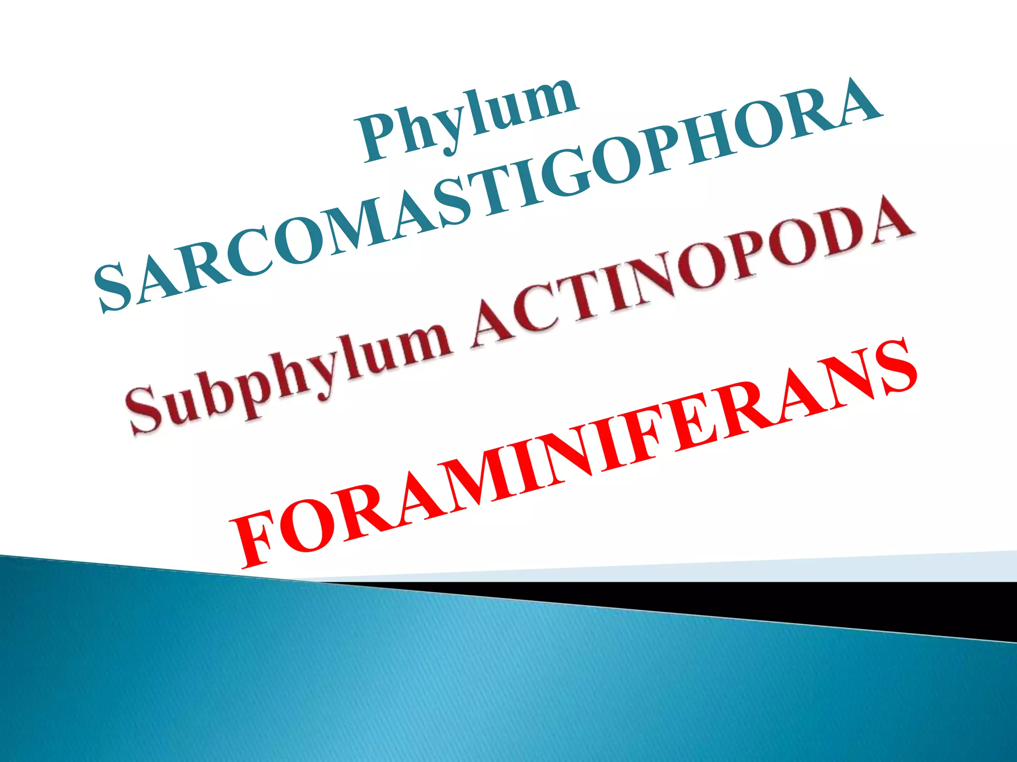 Full chapter 8 miller and harley, bsc | PPTX