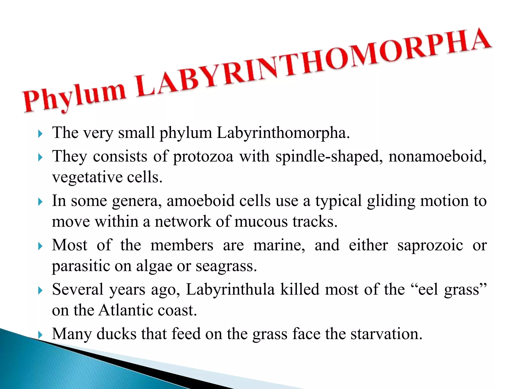 Full chapter 8 miller and harley, bsc | PPTX