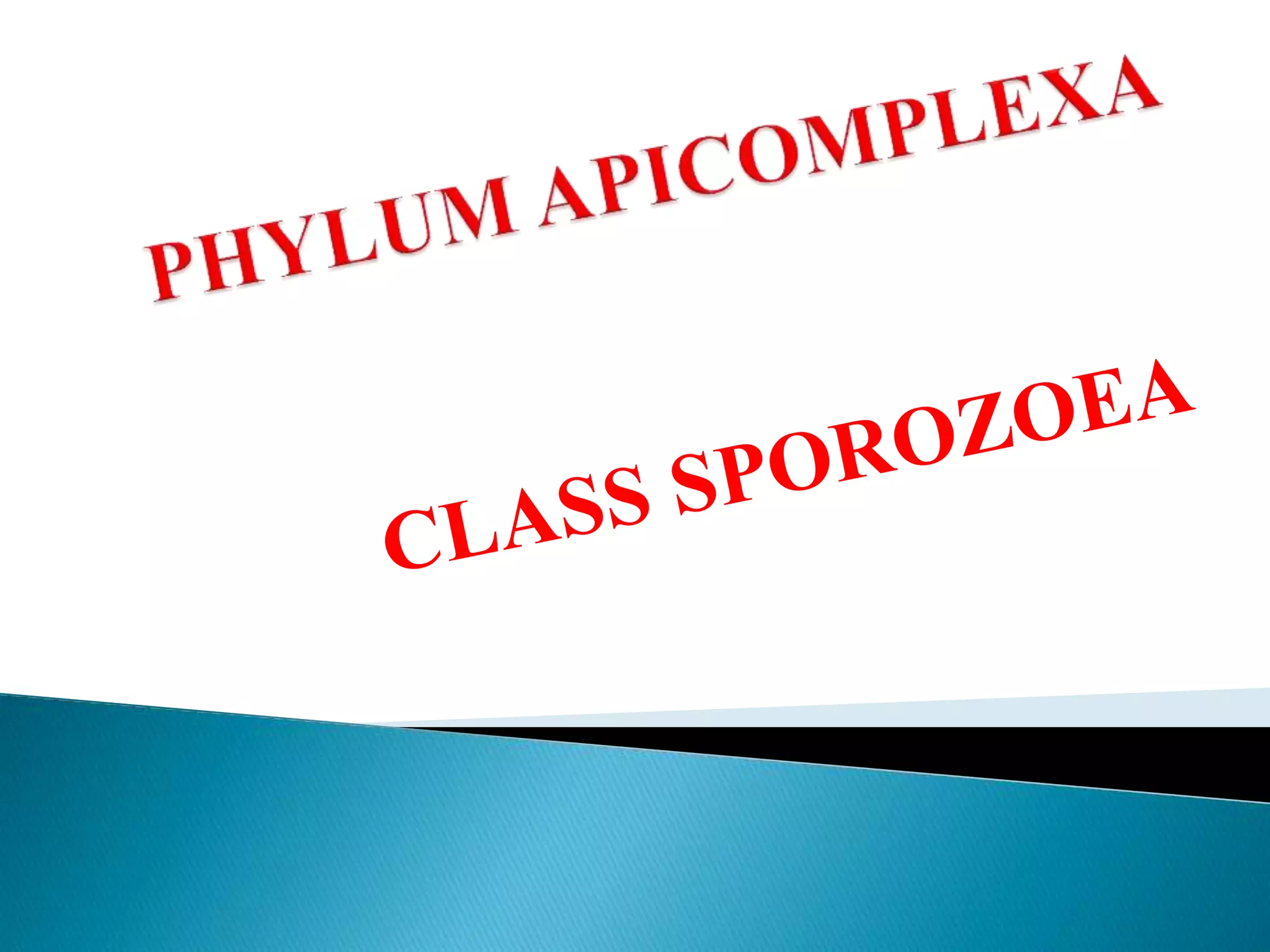 Full chapter 8 miller and harley, bsc | PPTX