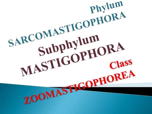 Full chapter 8 miller and harley, bsc | PPTX