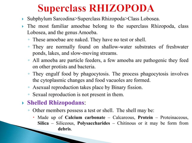 Full chapter 8 miller and harley, bsc | PPTX