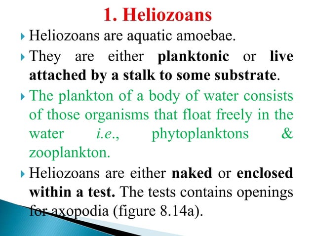 Full chapter 8 miller and harley, bsc | PPTX