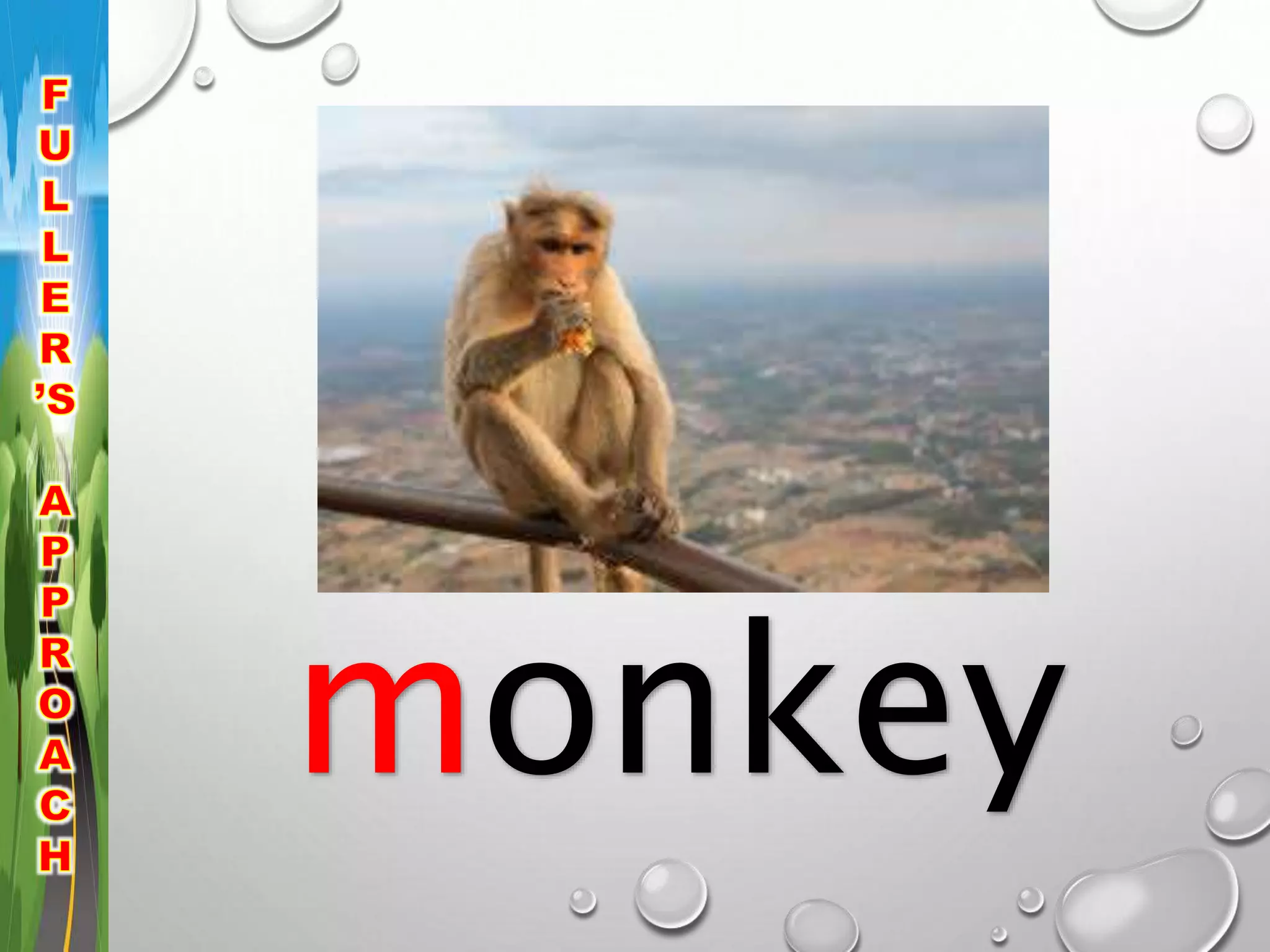 Fullers-Approach.pptx