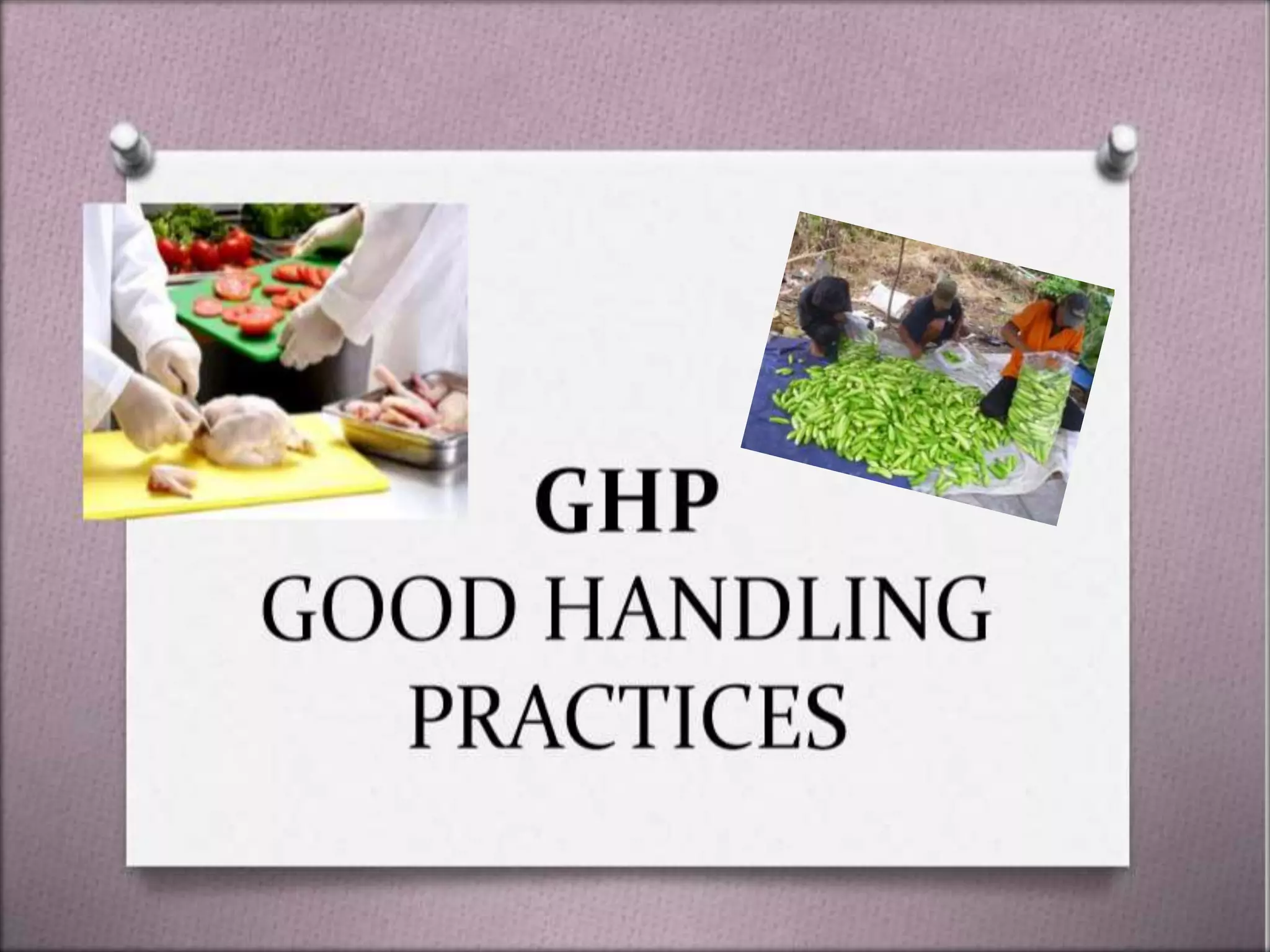 Food safety programmes- GMP, GHP, ISO SERIES BY- Dr. Shweta Gupta | PPTX