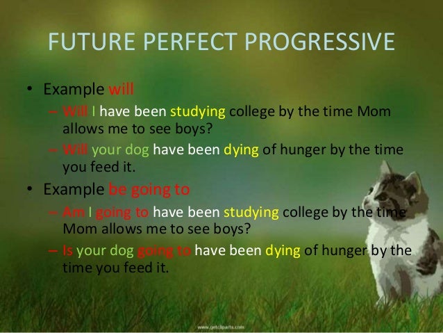 Examples Of Future Perfect Progressive Tense David