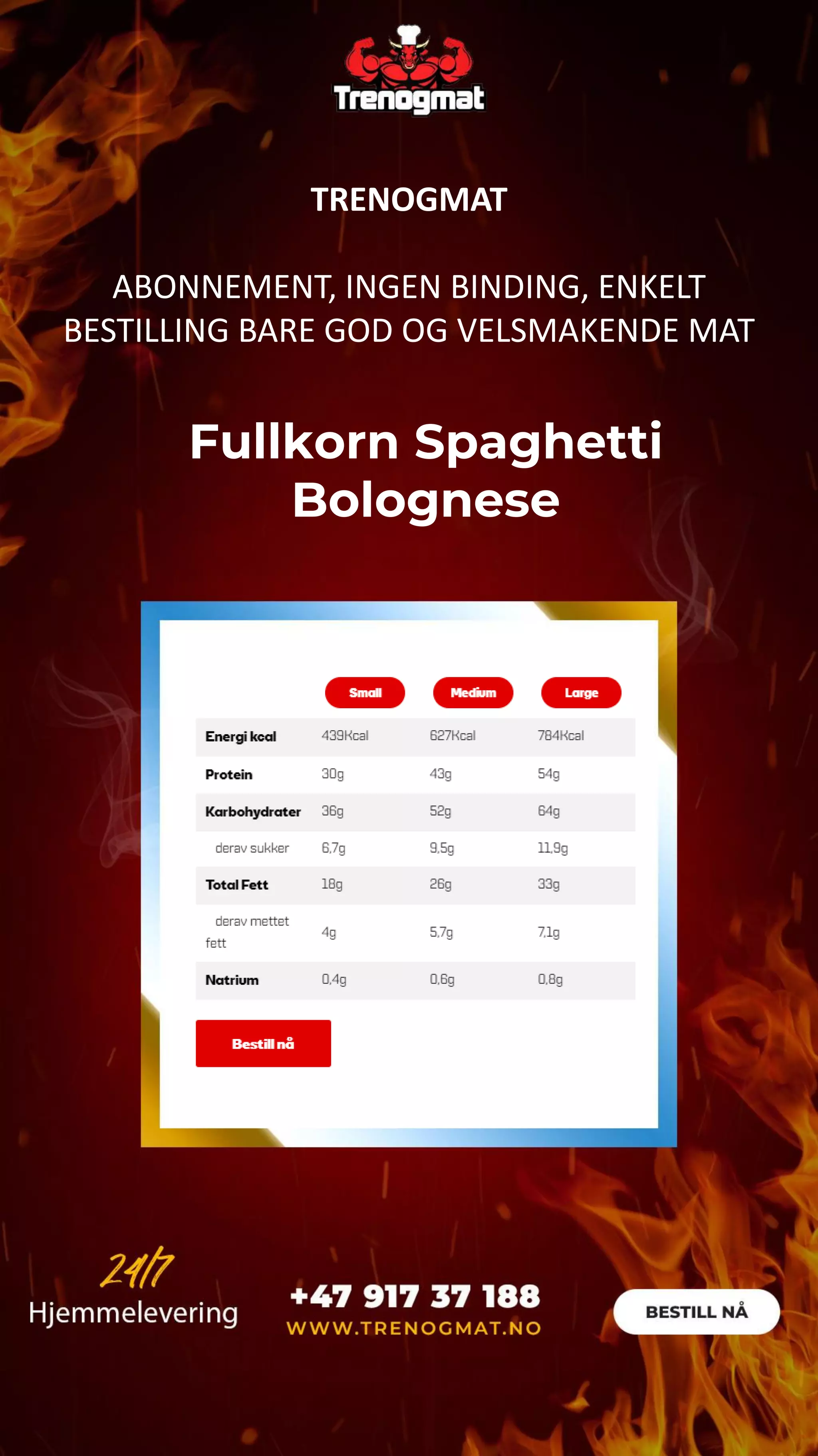 Fullkorn Spaghetti Bolognese - TrenogMat | PDF