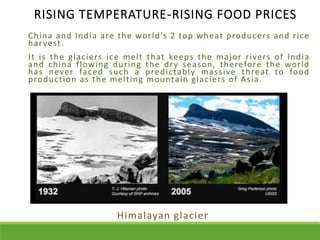 Full planet, empty plates [lester r. brown] summary | PPTX