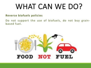 Full planet, empty plates [lester r. brown] summary | PPTX