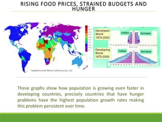 Full planet, empty plates [lester r. brown] summary | PPTX