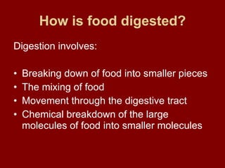 Human Digestive System(Science) | PPT