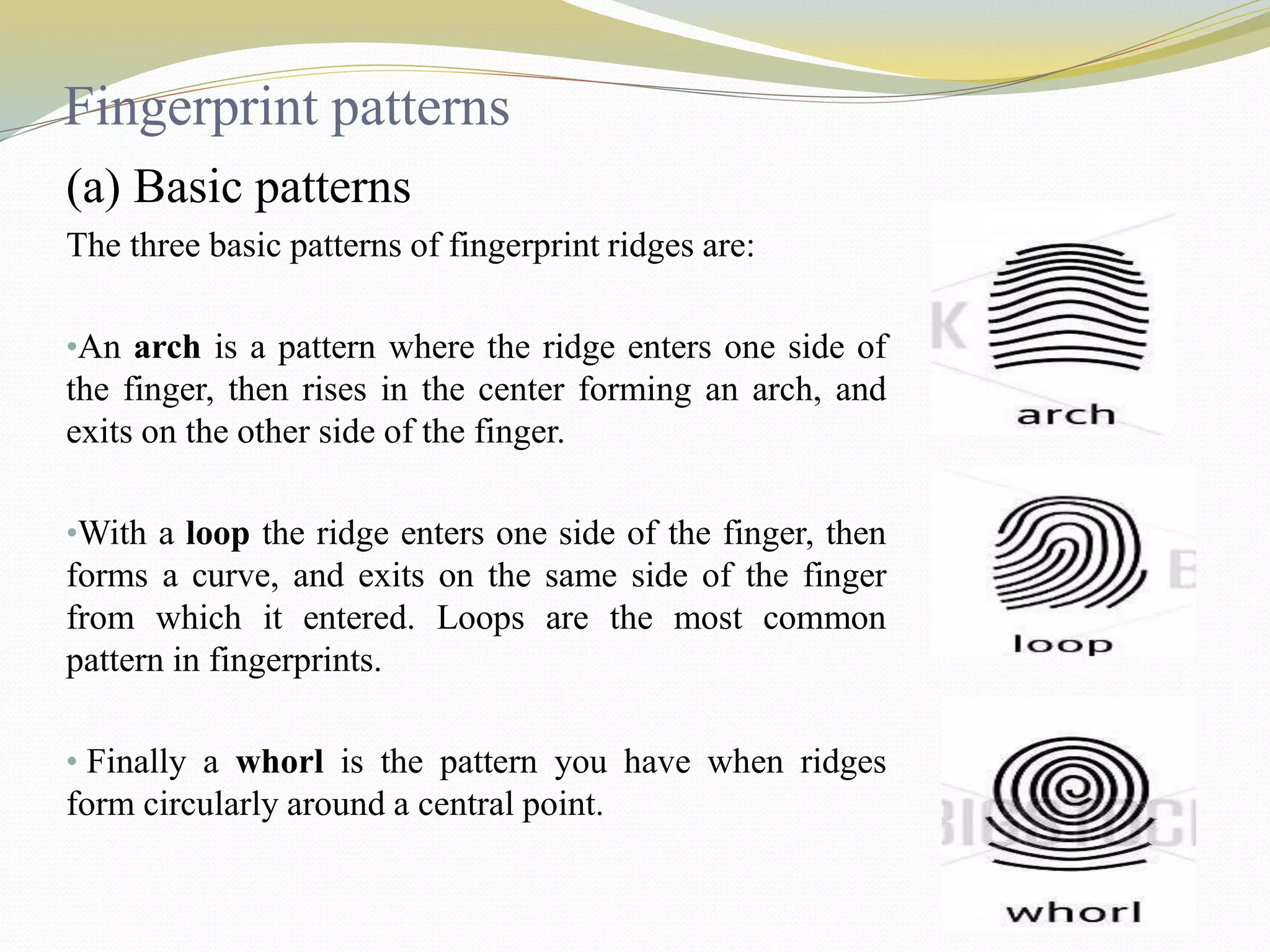 "FingerPrint Recognition Using Principle Component Analysis(PCA)” | PPTX