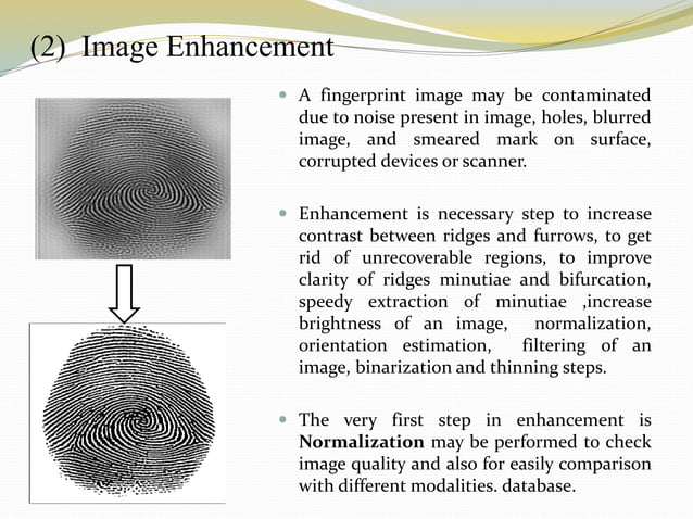 "FingerPrint Recognition Using Principle Component Analysis(PCA)” | PPTX | Photo Editing ...