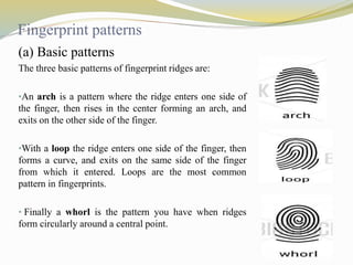 "FingerPrint Recognition Using Principle Component Analysis(PCA)” | PPTX