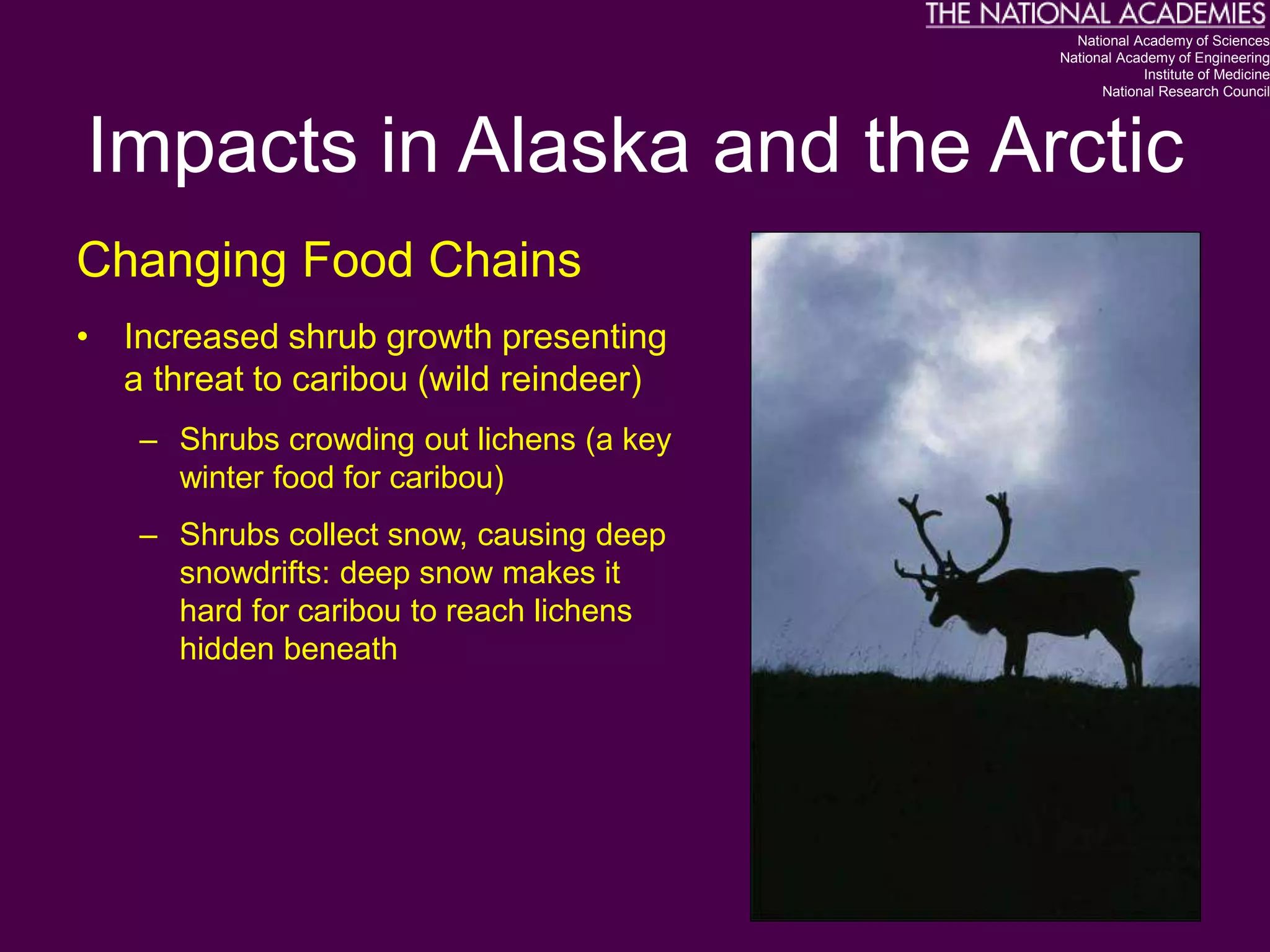 Ecological impacts of climate change.pptx