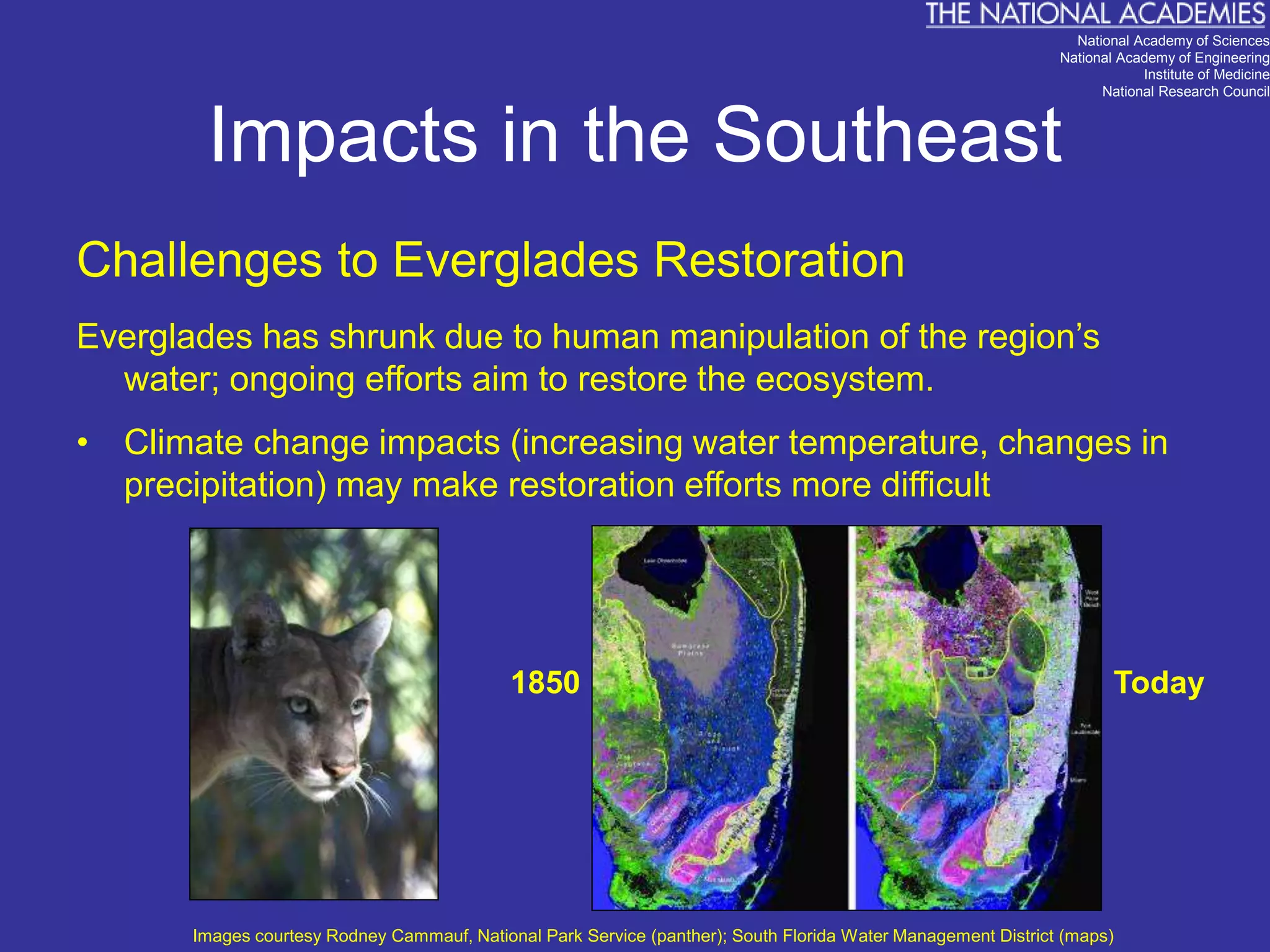 Ecological impacts of climate change.pptx