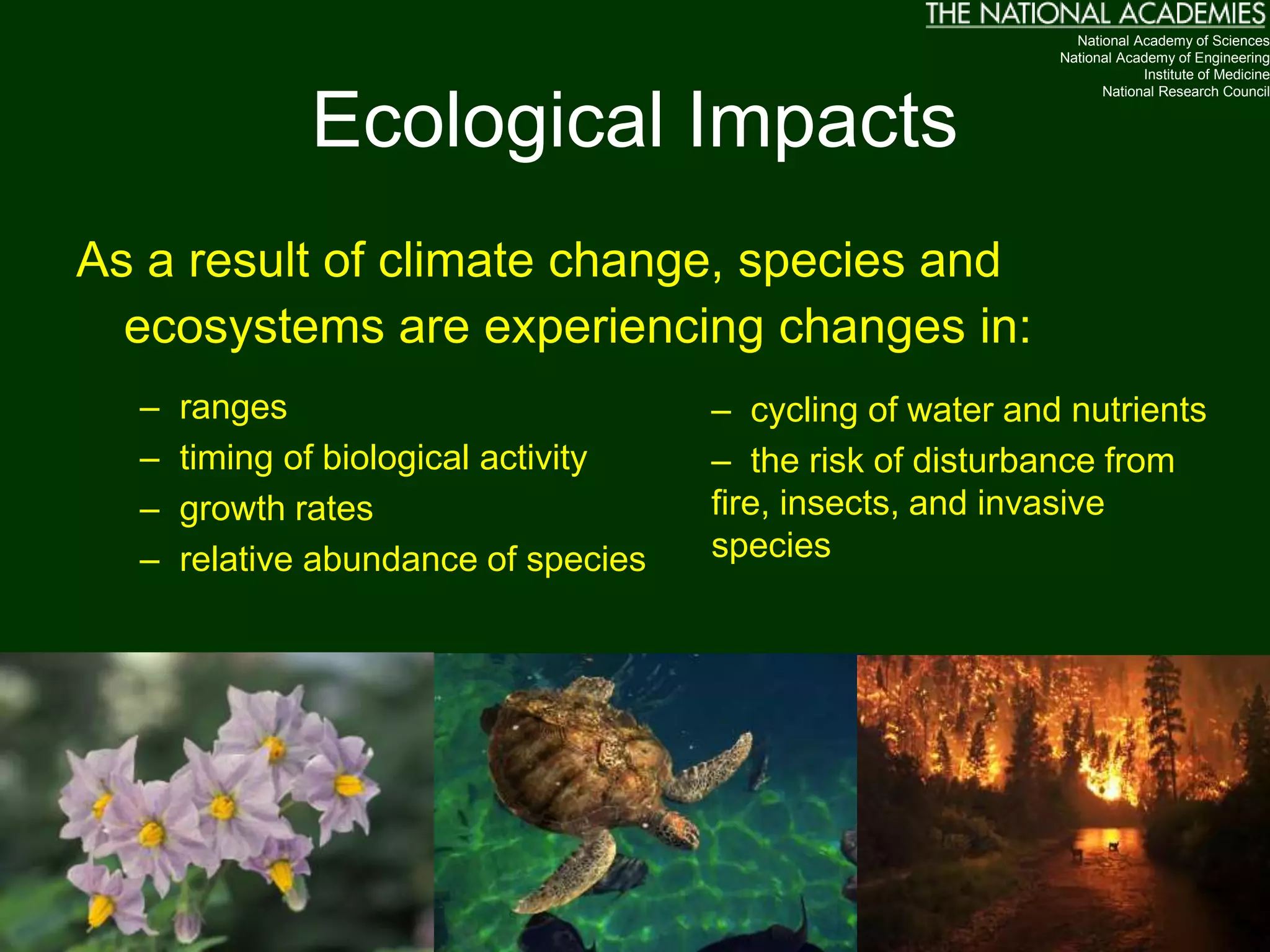 Ecological impacts of climate change.pptx