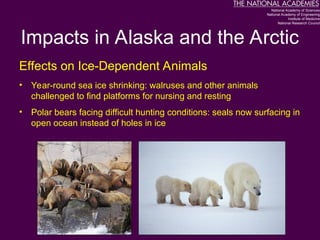Ecological impacts of climate change and | PPT