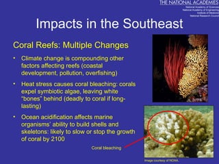 Ecological impacts of climate change and | PPT