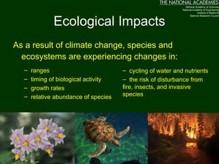 Ecological impacts of climate change and | PPT