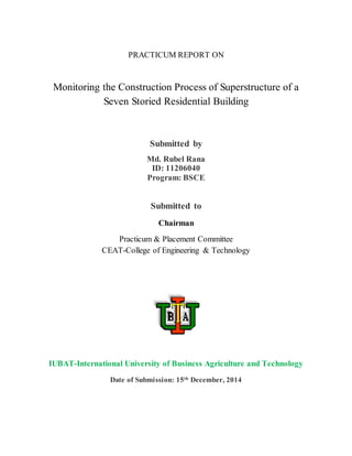 PRACTICUM REPORT ON Monitoring the Construction Process of ...