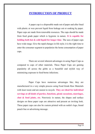 PRODUCT PROJECT REPORT | PDF