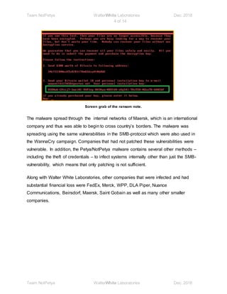 Full report final for NotPetya | DOCX