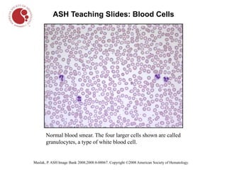 Full Set of Slides.ppt